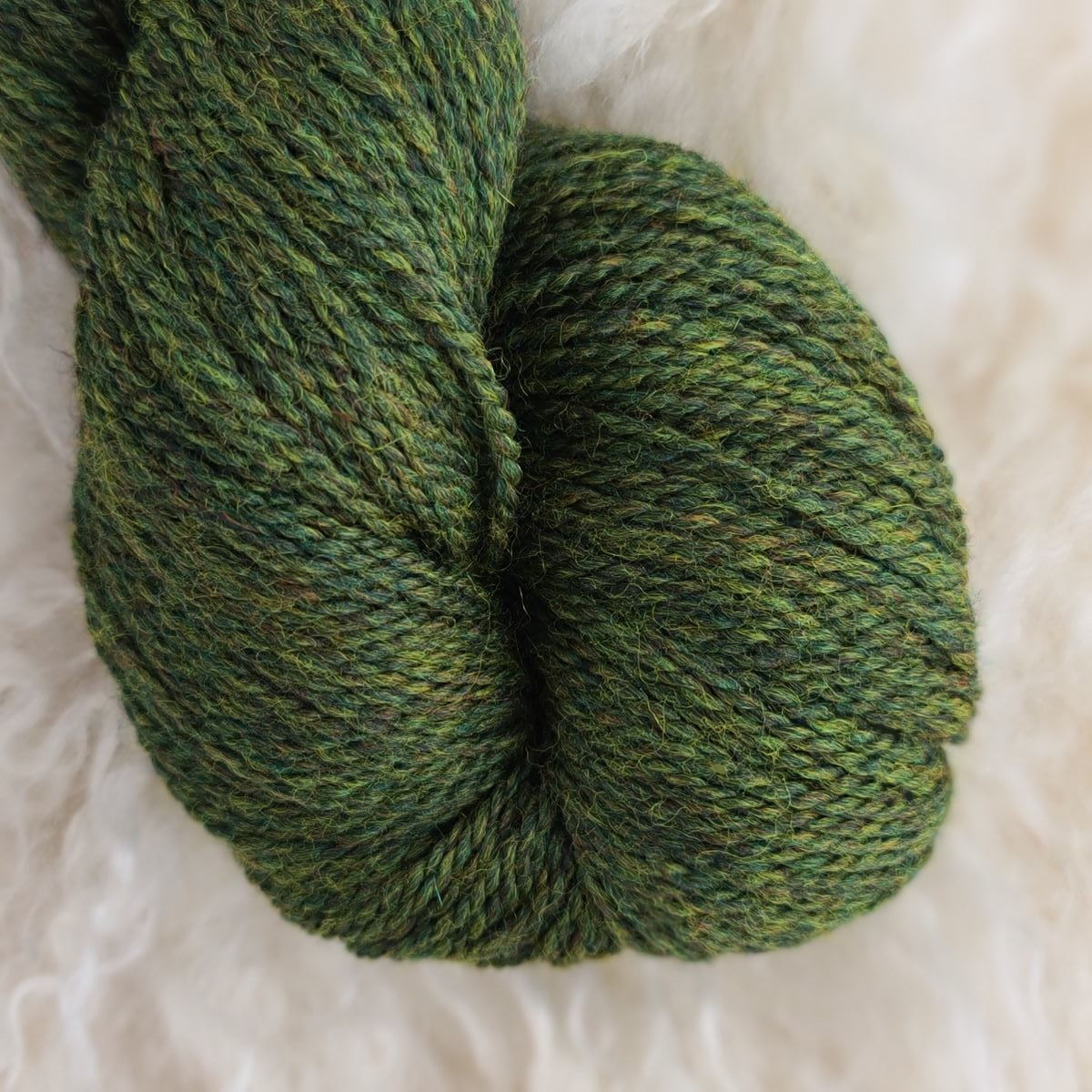 Scout 100g 305 moss h - The Yarn Underground