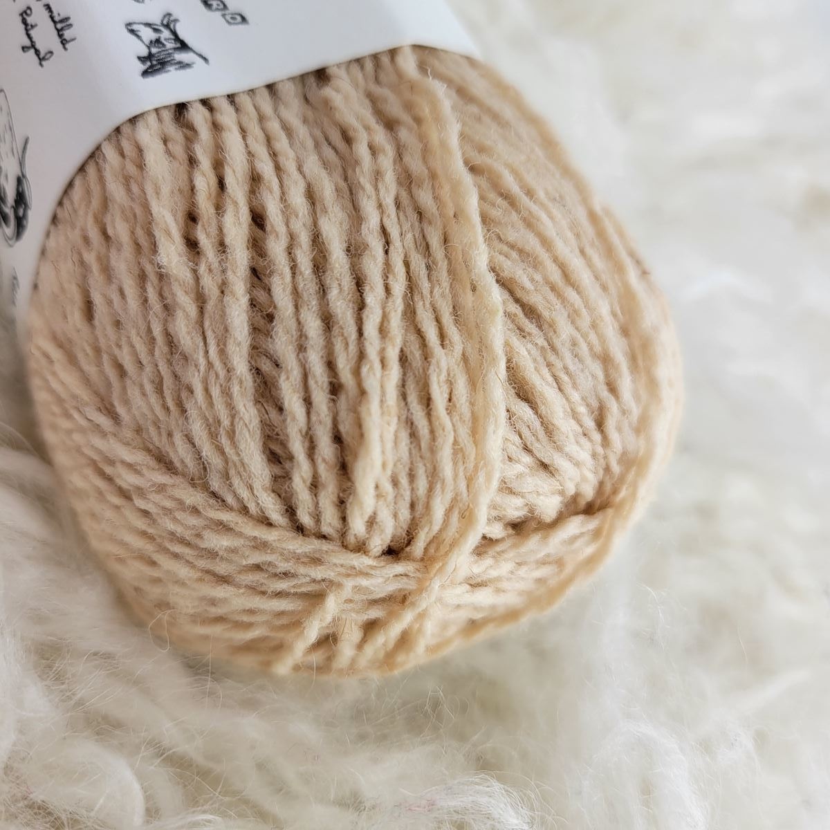 Brusca 50g A576 - The Yarn Underground