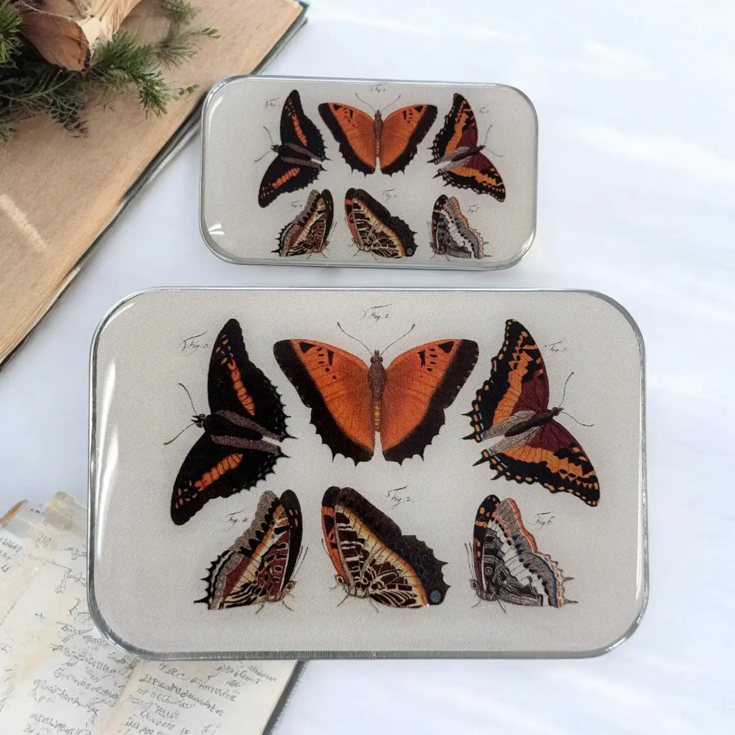 Firefly Notes Orange Butterflies notions tin - Large - Firefly Notes ...