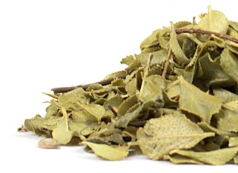 Buchu Leaf - Hollow Reed School of Healing Arts & Herbals