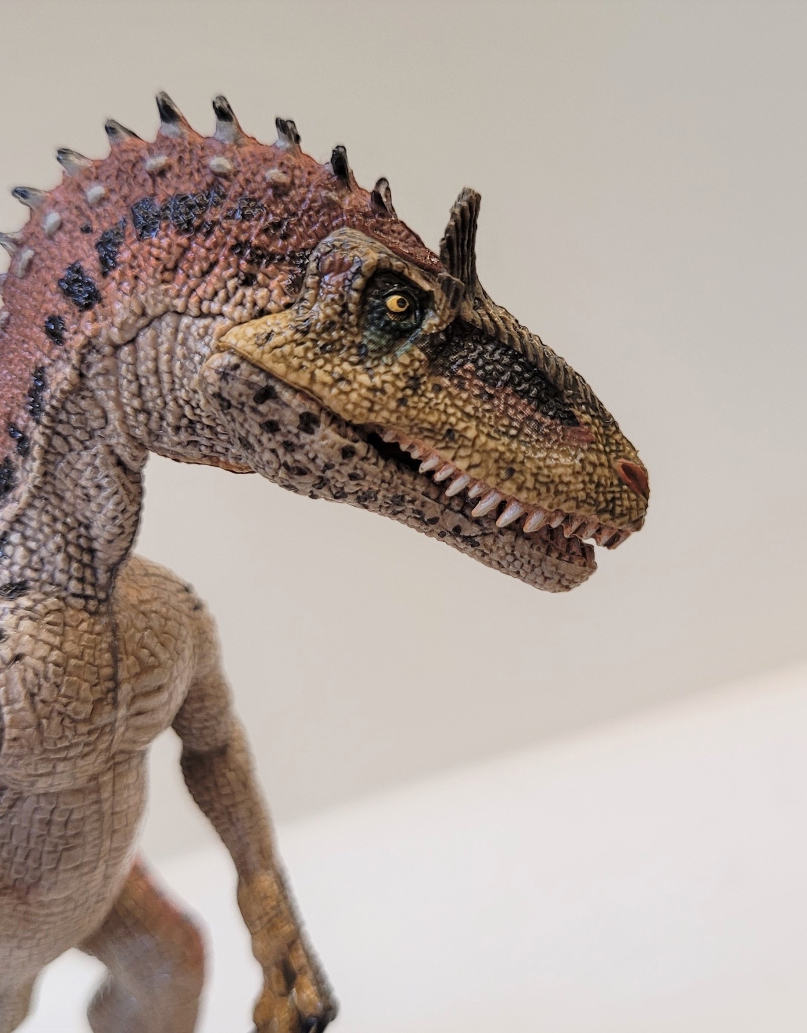 Papo Allosaurus | ppgbbe.intranet.biologia.ufrj.br