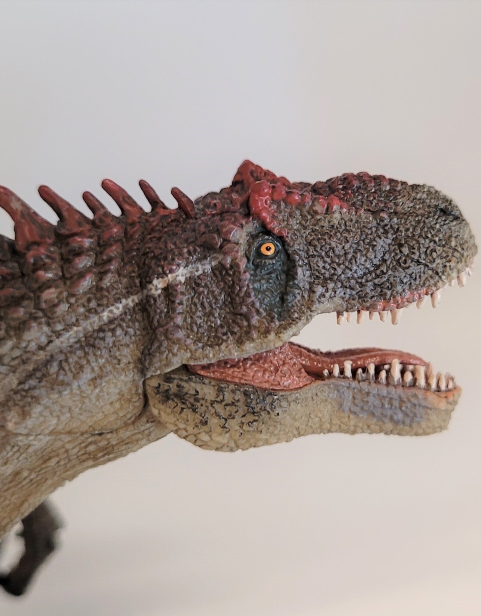 Papo Allosaurus | ppgbbe.intranet.biologia.ufrj.br