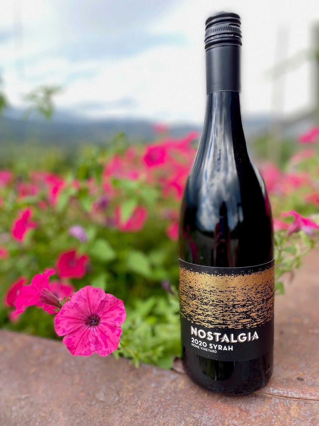 2020 Syrah 750ml - Nostalgia Wines Inc. - Online Store