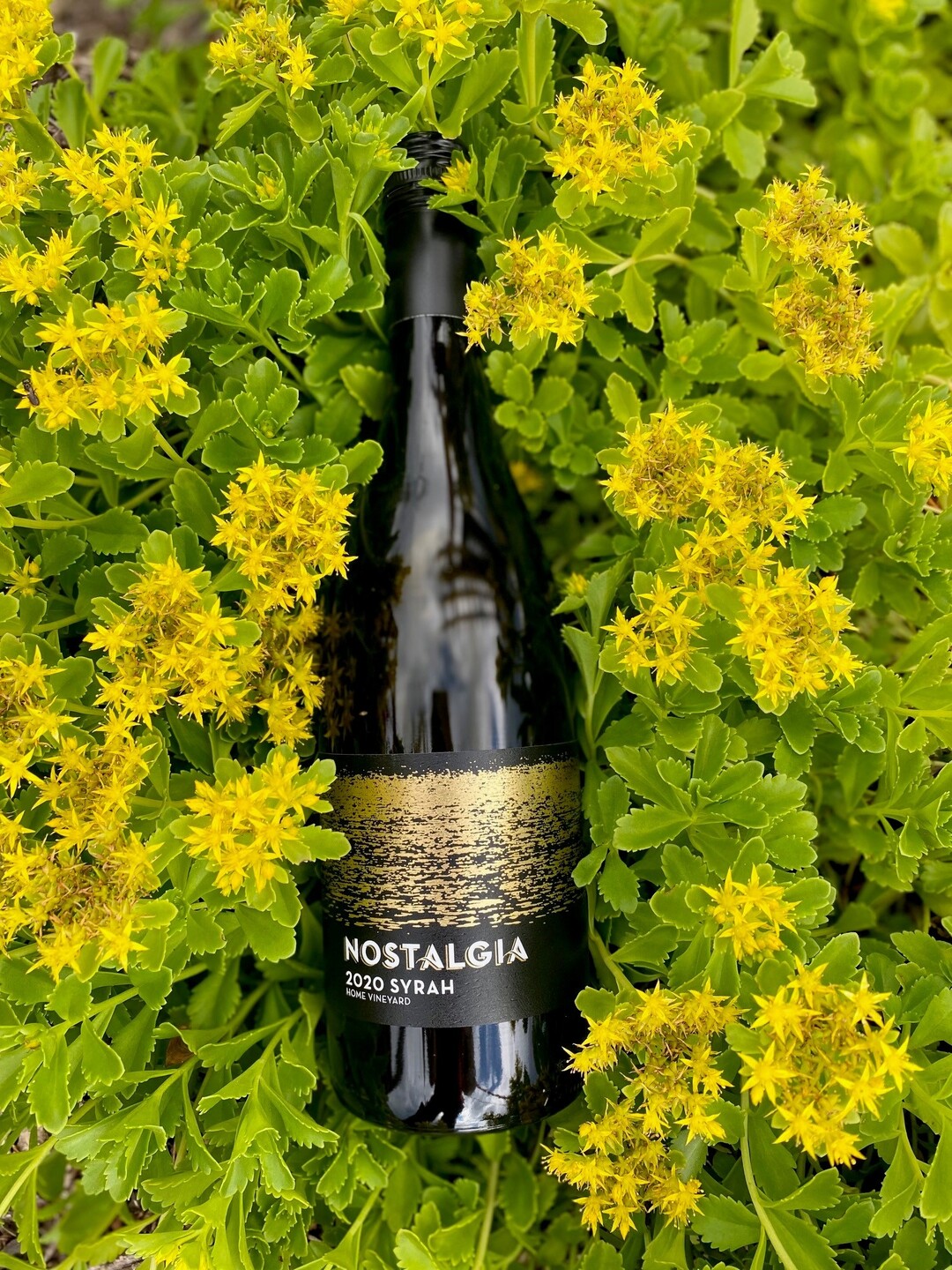 2020 Syrah 750ml - Nostalgia Wines Inc. - Online Store