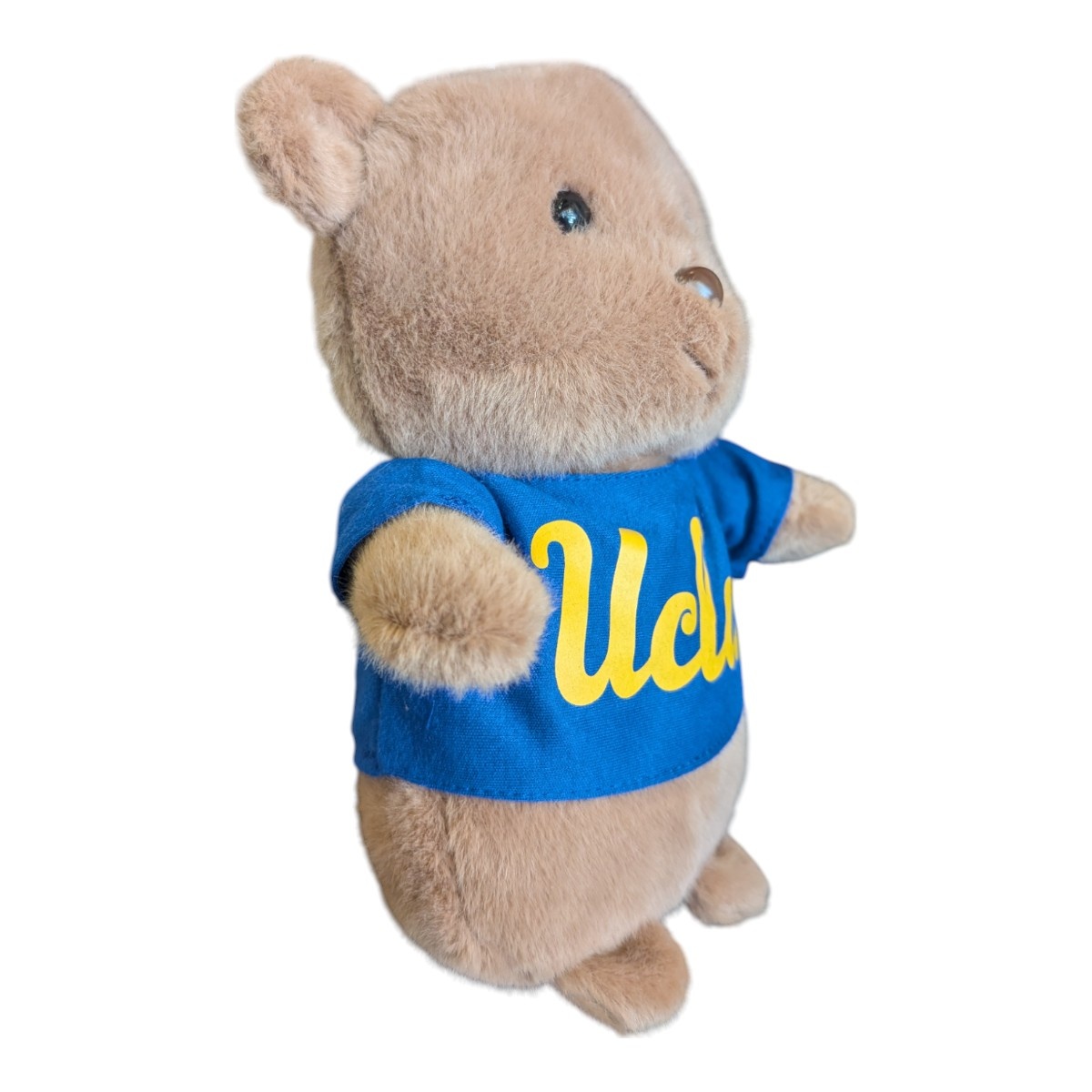 UCLA Country Critter Bear - Campus Store