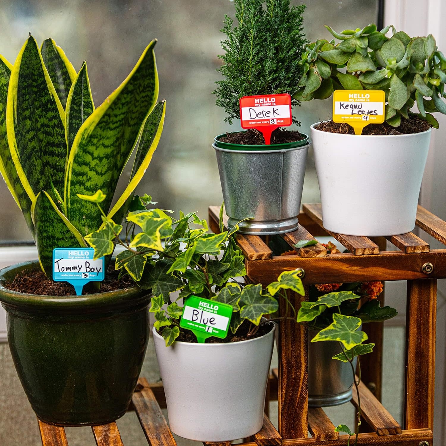 Plant Name Badges 12 pk - All Seasons Floral & Gifts