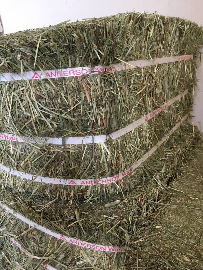 TIMOTHY HAY COMPRESSED BALES - Wagon Wheel