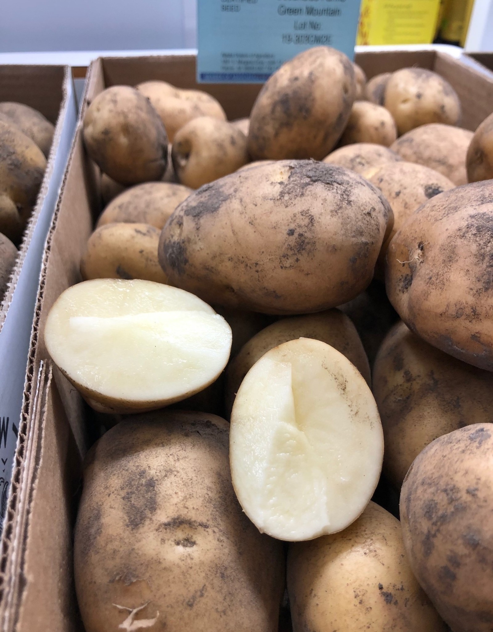 Seed Potato Per Tenths Of Pound Wagon Wheel