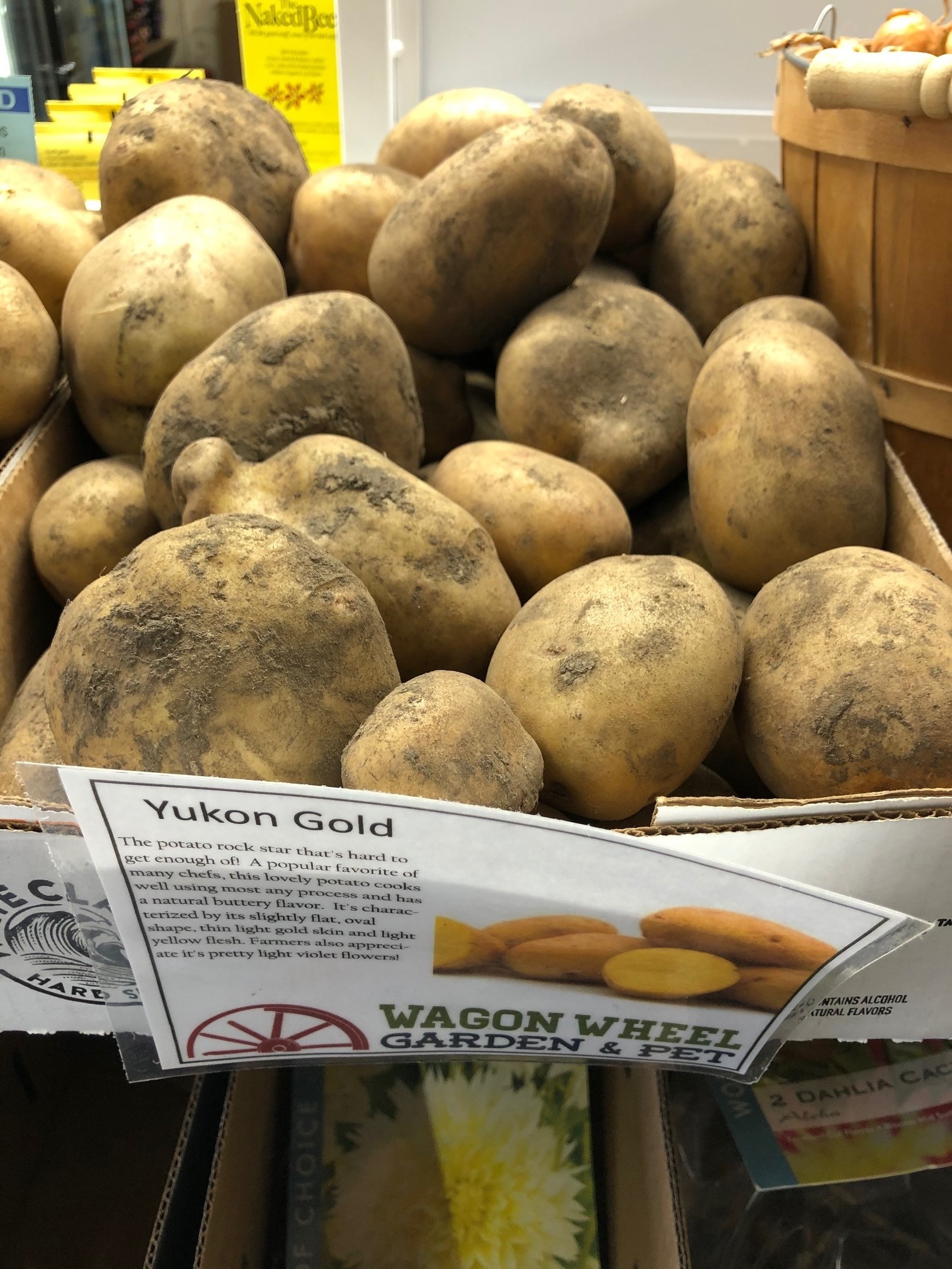 Seed Potato Per Tenths Of Pound Wagon Wheel