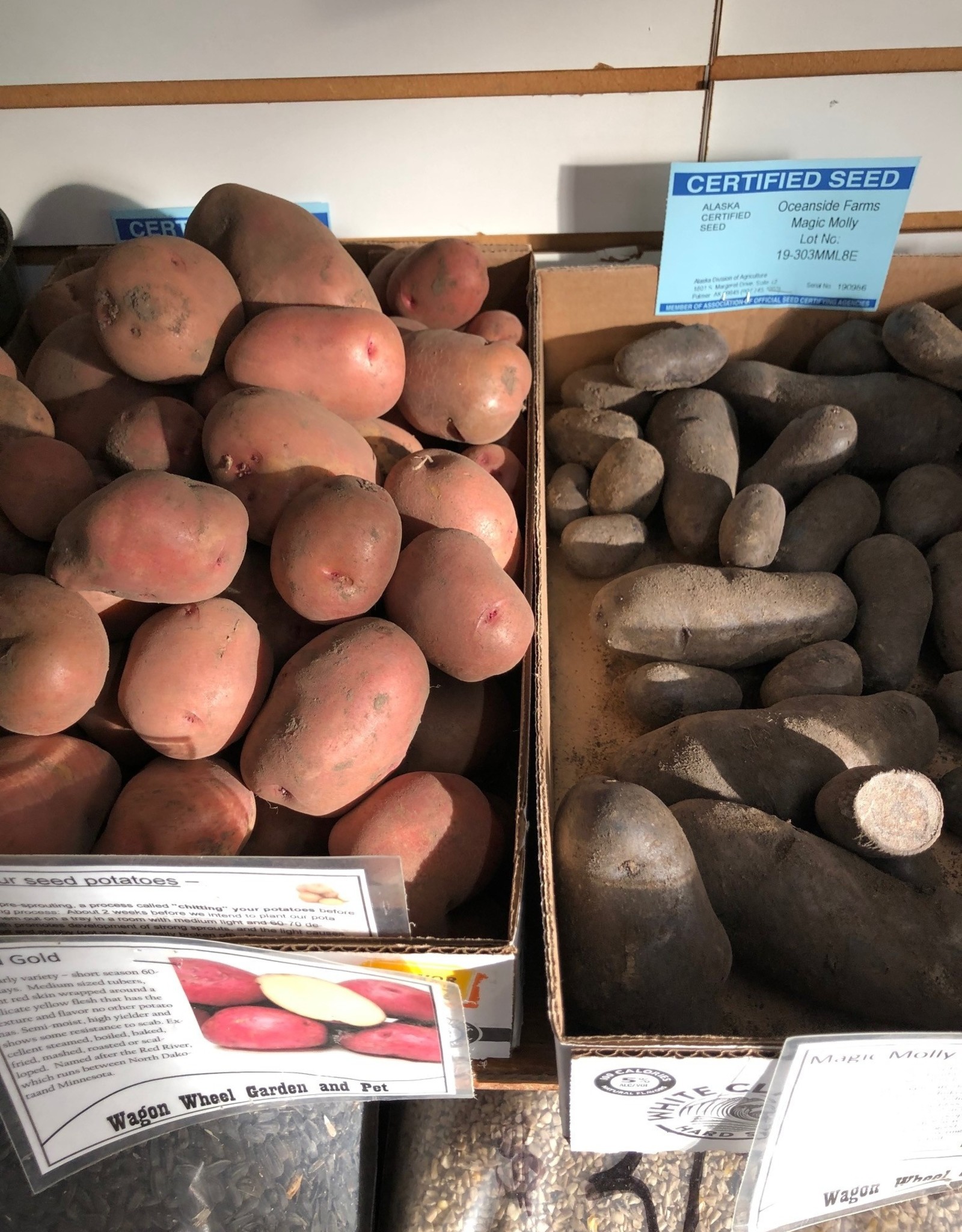 Seed Potato Per Tenths Of Pound Wagon Wheel