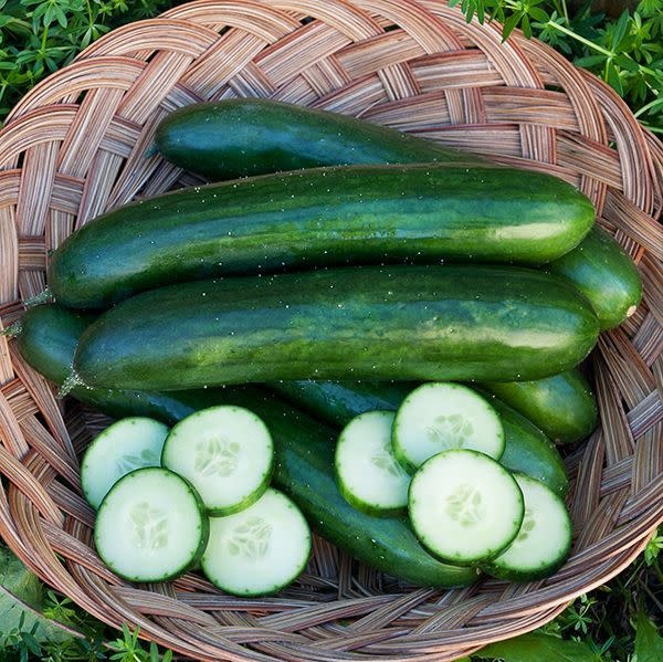 HM Green Finger Cucumber: 1/16 OZ - Wagon Wheel