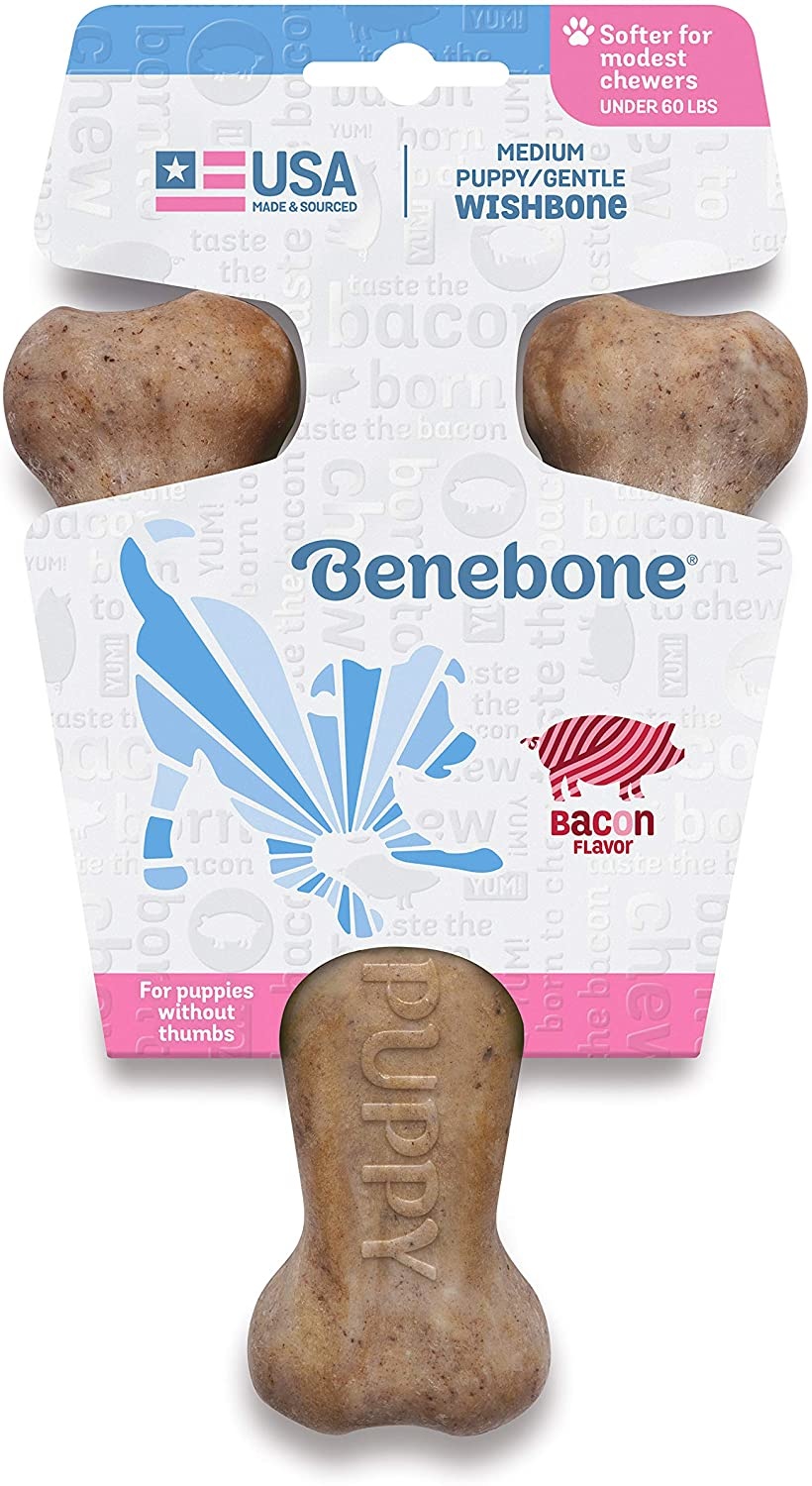 BENEBONE Puppy Wishbone Bacon Med - St Petersbark, LLC