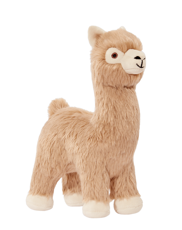 F&T Inca Aplaca Dog Toy - St Petersbark