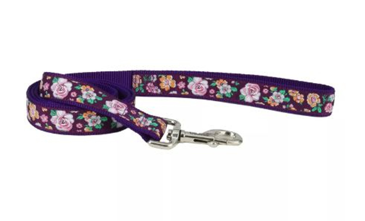 COASTAL 6ft Ribbon Leash - St Petersbark, LLC