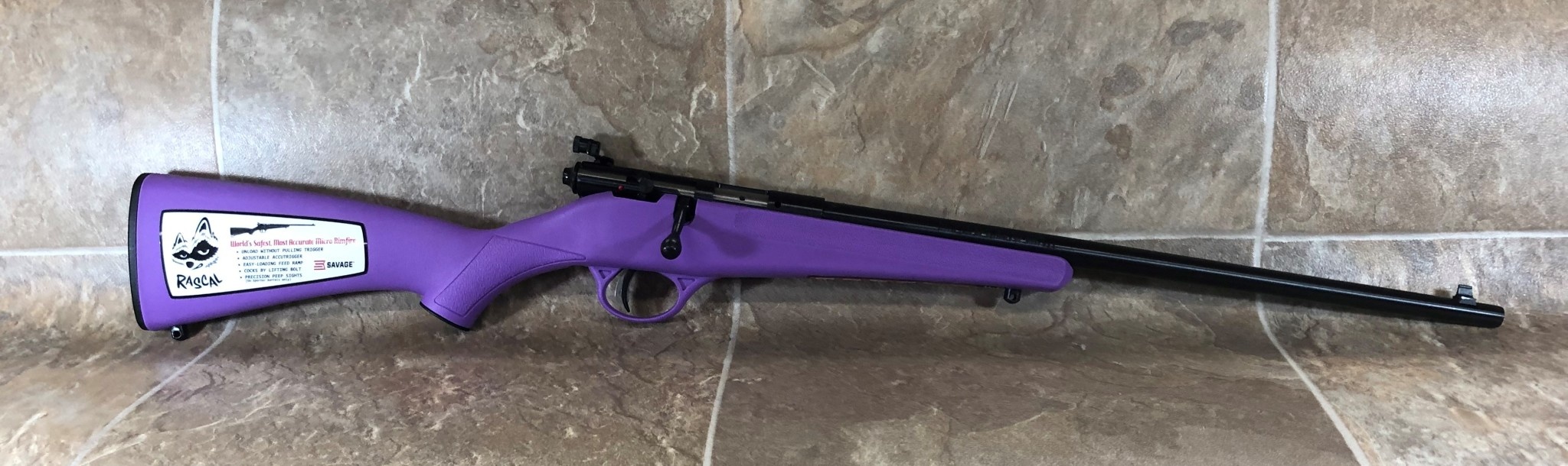Savage Rascal YTH 22LR Single Shot Purple stock blued barrel (13783 ...