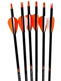 Carbon Force Sniper II 300 Arrow/ea - Eagle Firearms Ltd