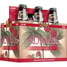 Founders Brewing Company Founders Rubaeus 6 btl - Elevated Beer Wine