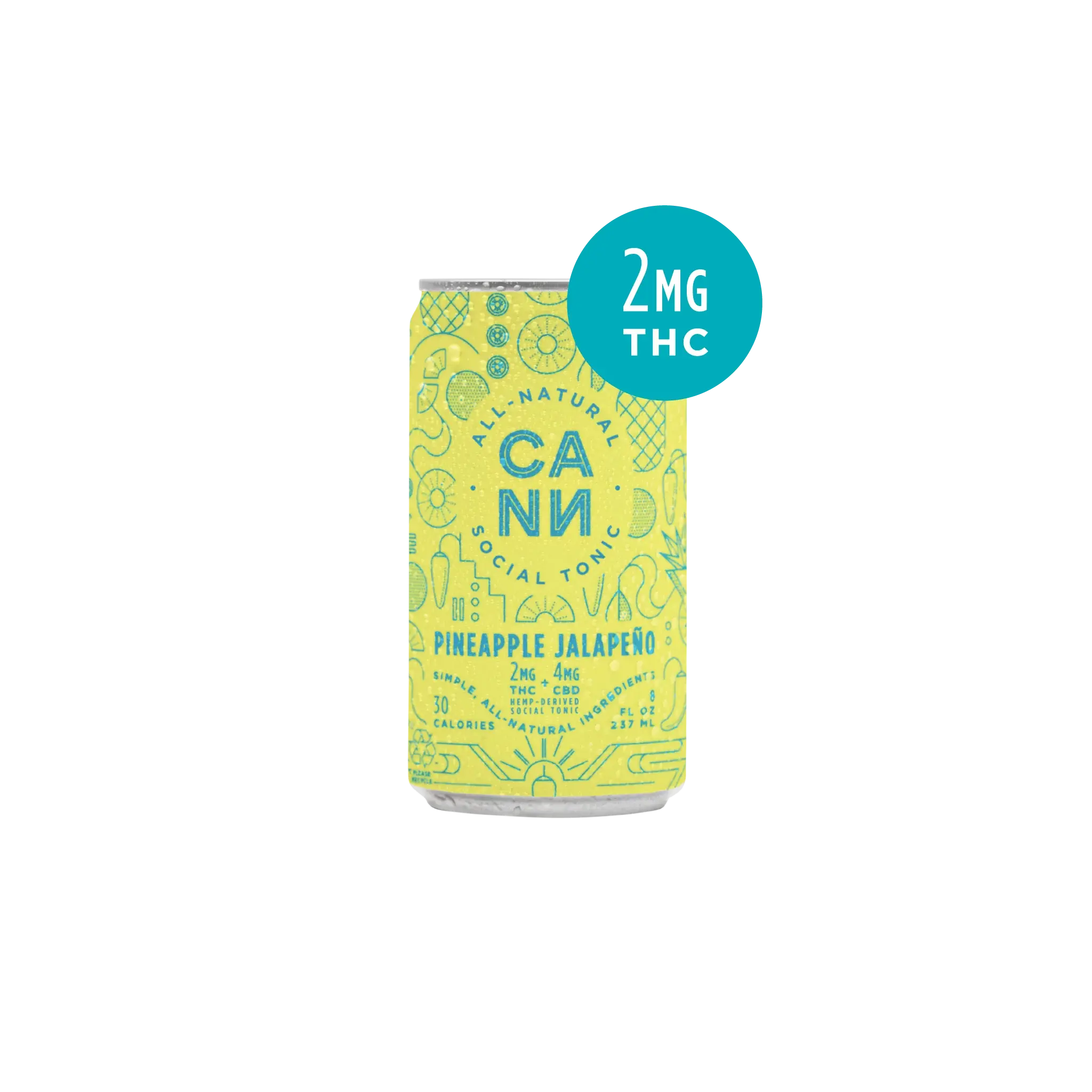 Cann THC Cann Lemon Lavender 2MG THC / 4MG CBD 4 can - Elevated Beer Wine