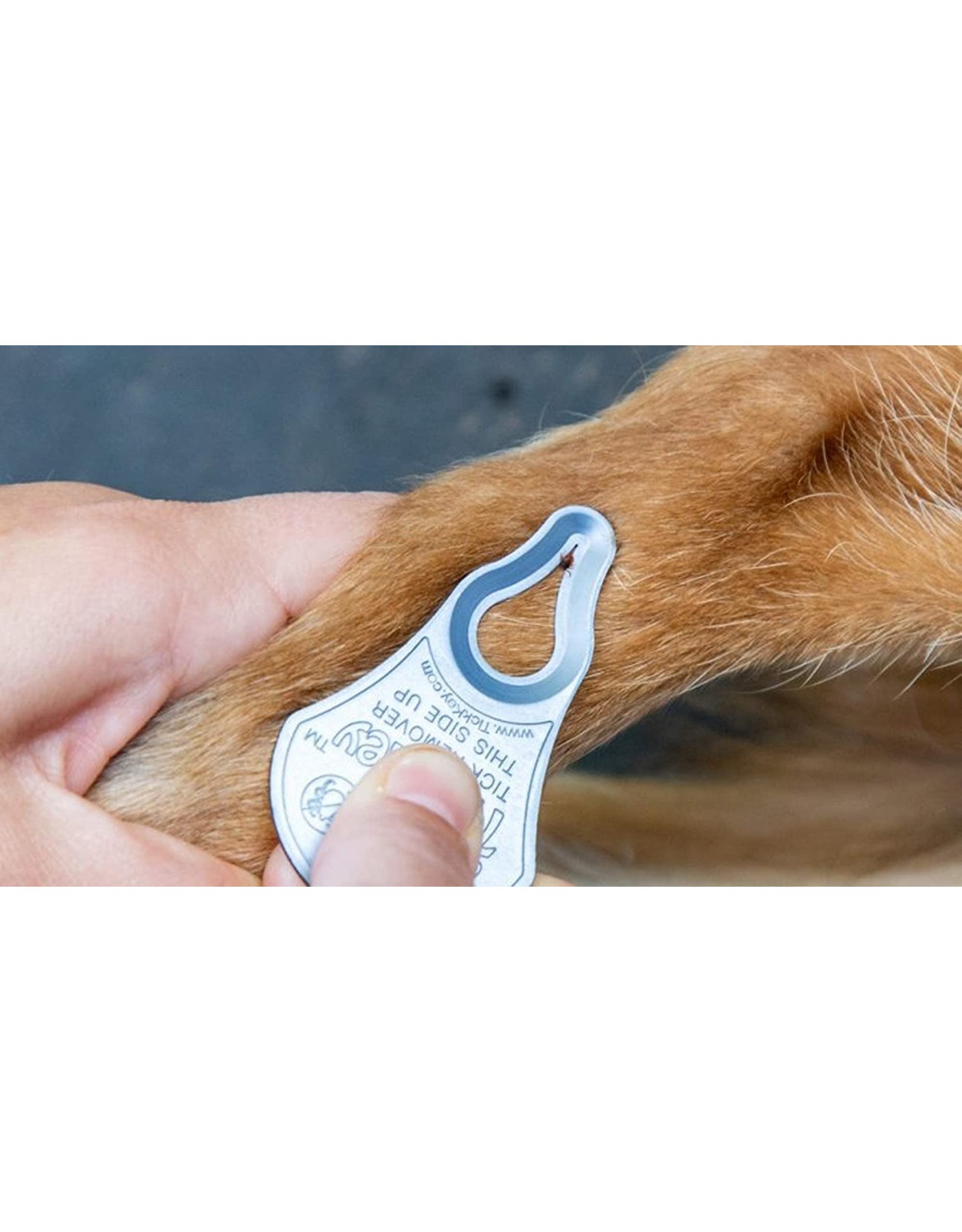 Tick Key - Assorted Colours - Bronson