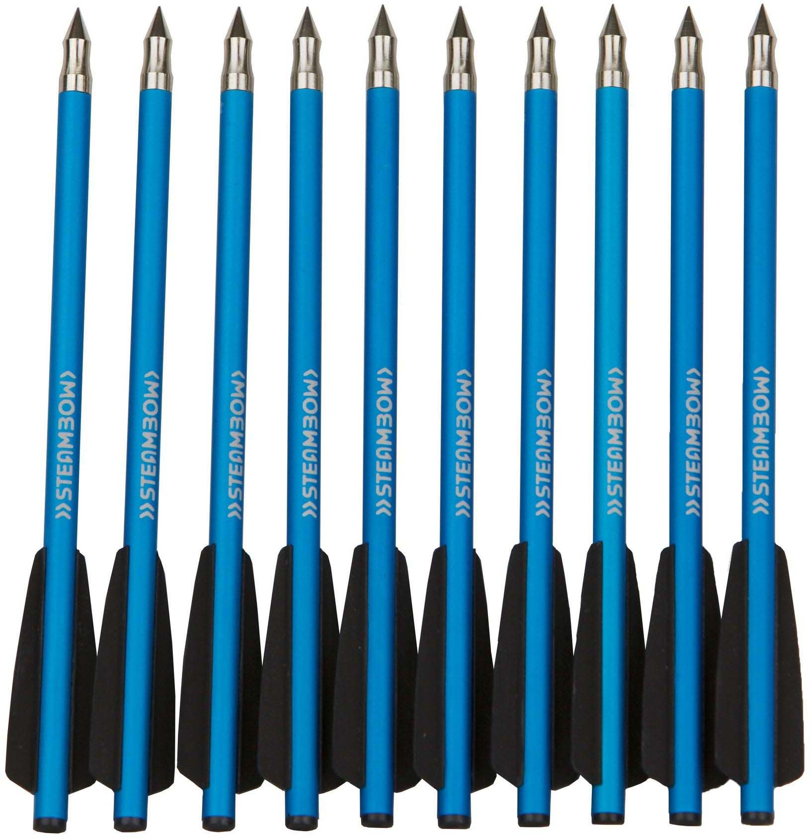 Steambow AR Series Target Arrows - Set of 10 - Bronson & Bronson