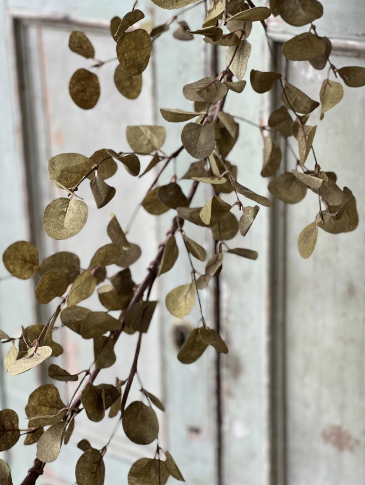 Penny Leaf Garland | 6' | Dark Green - Rustic Roots