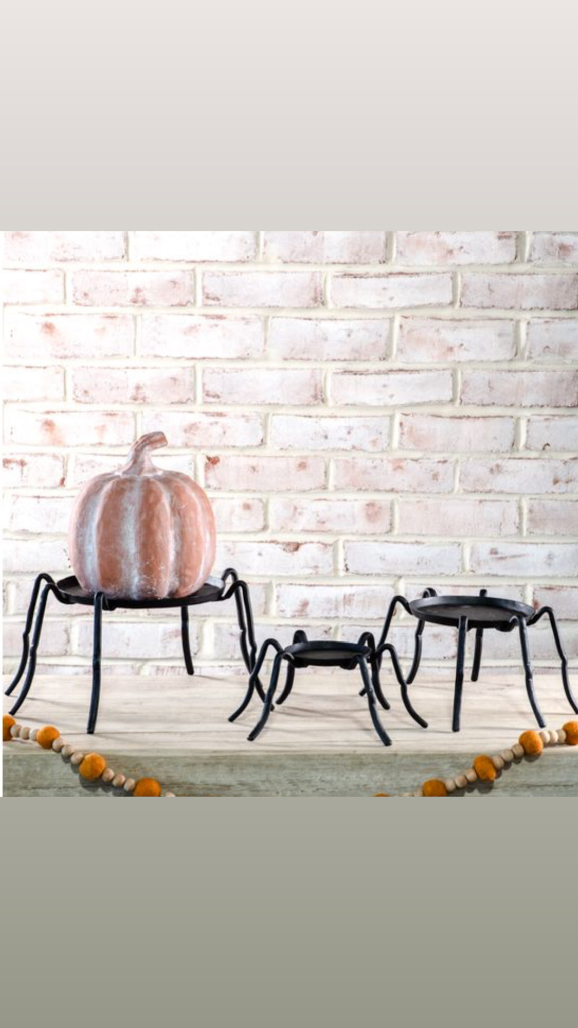 Black Metal Spider Stands - Rustic Roots