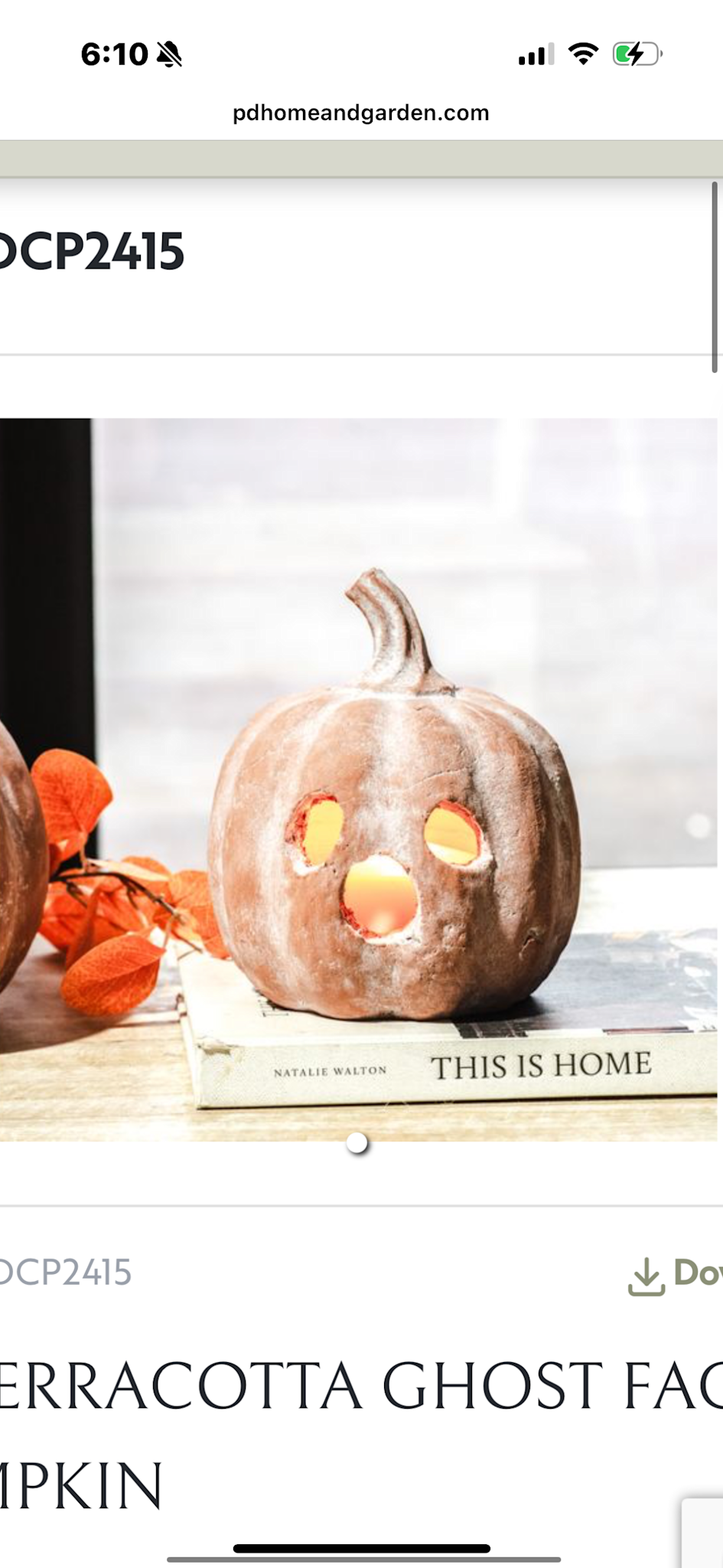 12" Terracotta Ghost Face Pumpkin - Rustic Roots