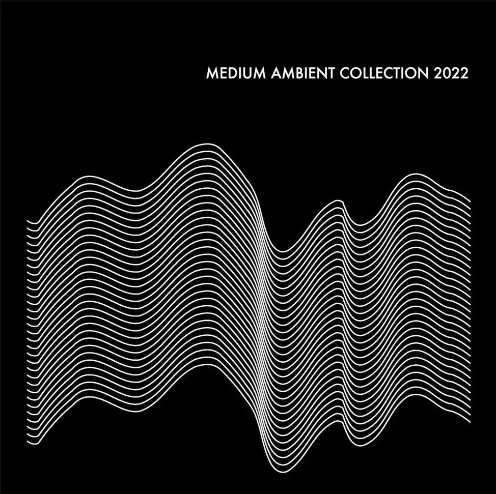 Various: Medium Ambient Collection 2022 (Black) LP - Listen Records