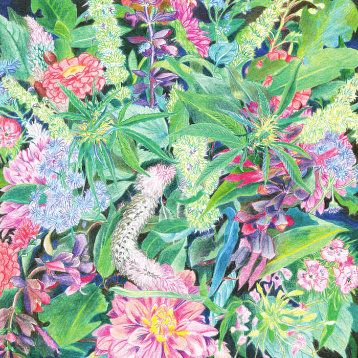 Light-Space Modulator: The Rising Wave LP - Listen Records