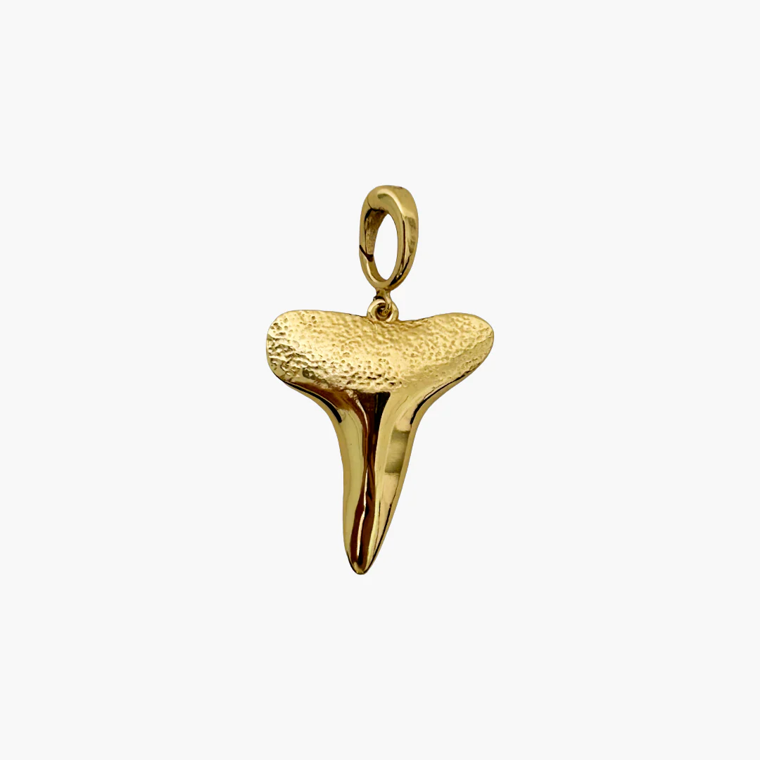 Shark Tooth Charm - Coastal Bliss