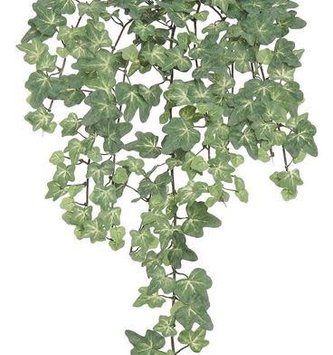 Artificial Greenery | Ivy and Ferns | High-Quality Artificial - The ...