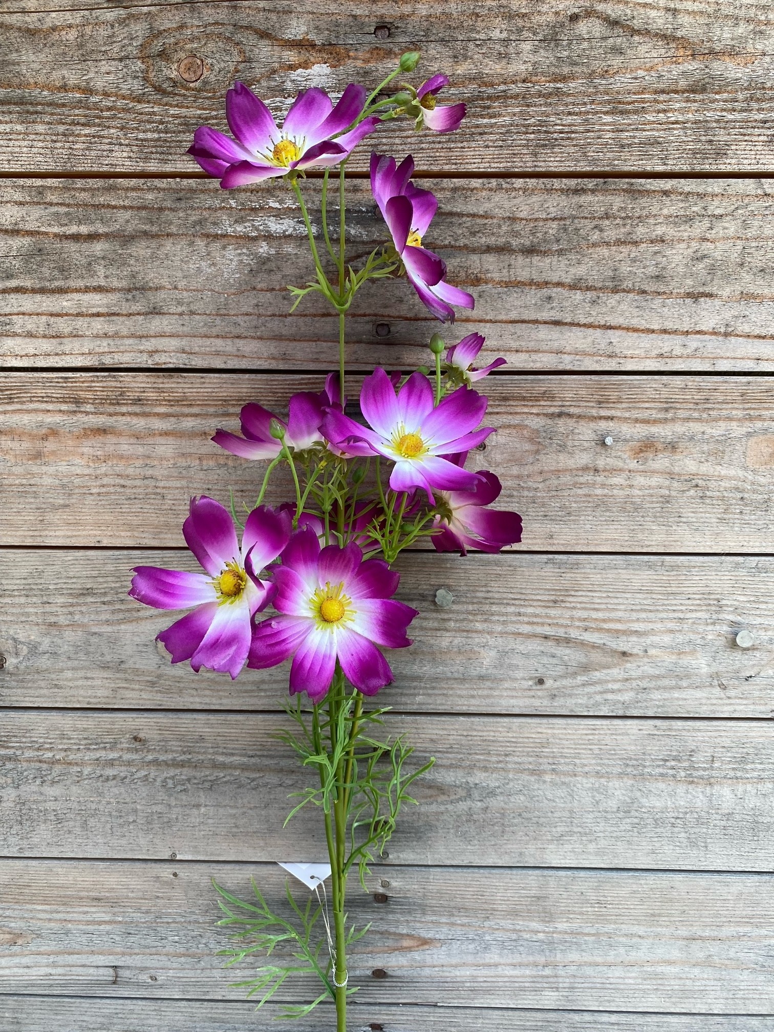 Garden Cosmos Spray I Shop Natural Silk Florals I FAST SHIPPING - The ...