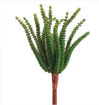 Worm Succulent Pick | Artificial Plant | Fast Shipping - The Last Straw