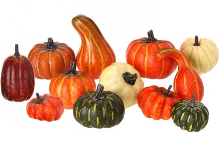 12 Piece Pumpkin Gourd Assortment - The Last Straw