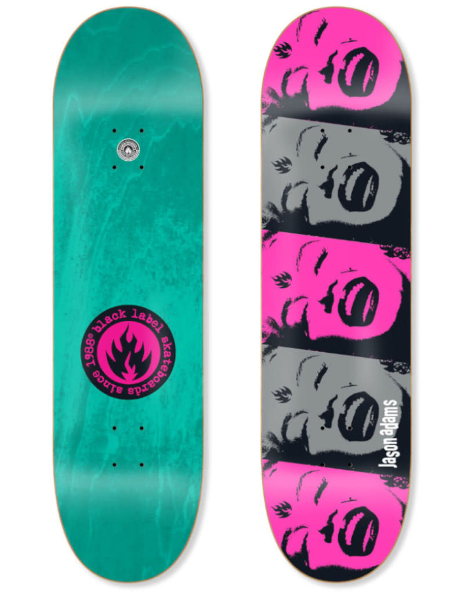 Black Label Deck Jason Adams Sonic Reducer (8.25) - Stix SGV