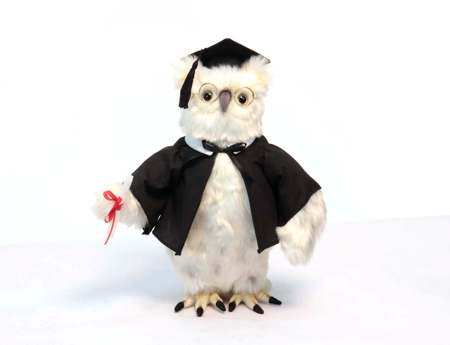 Graduation Stuffed Owl - British Isles