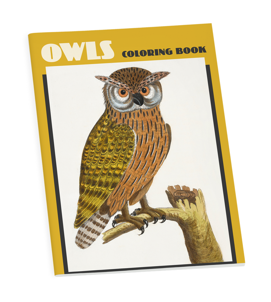 Owls Coloring Book - British Isles