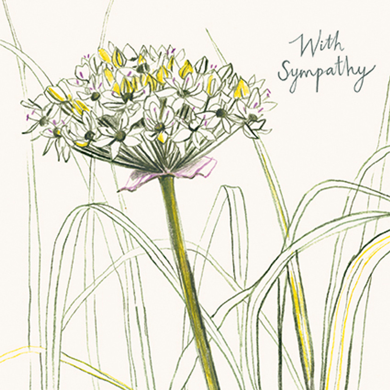 Art Press Spring Allium Sympathy Card - British Isles