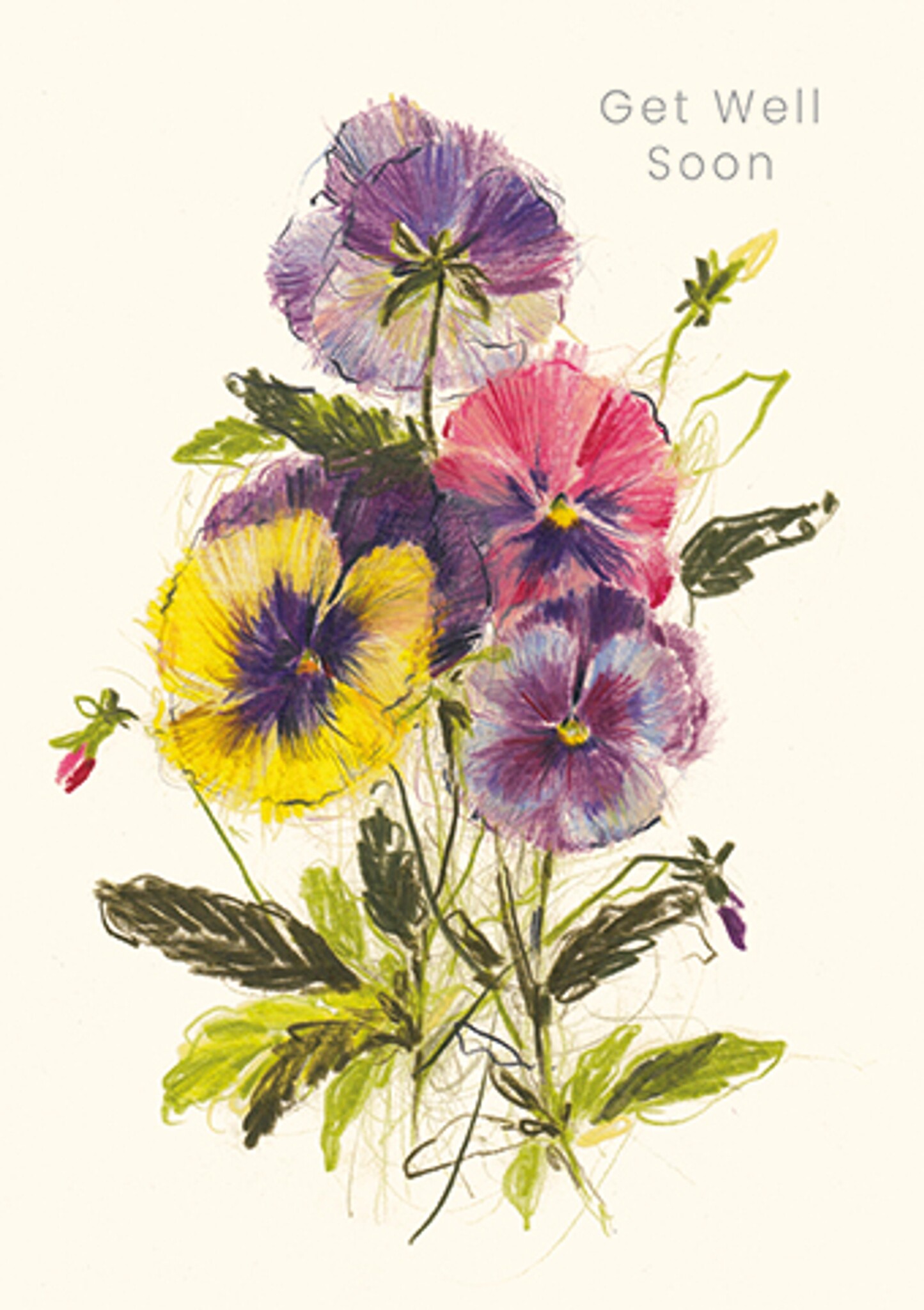 Nelson Line Pansies Get Well Soon Card - British Isles