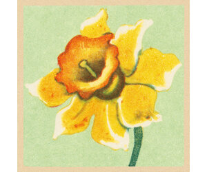 Art Press Golden Daffodil Easter Card - British Isles