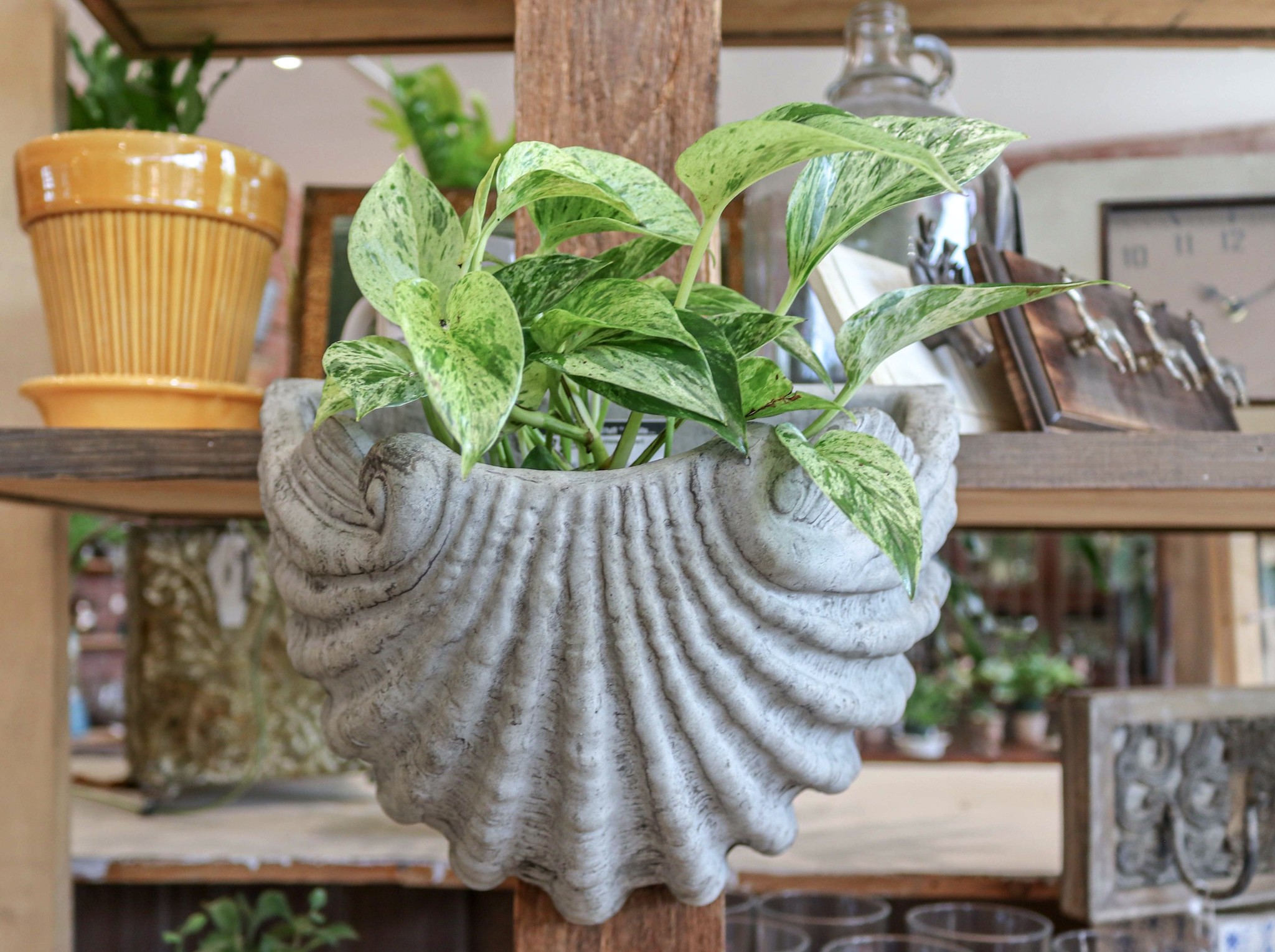 Mediterranean Shell Planter - Dead People's Stuff "Architectural ...