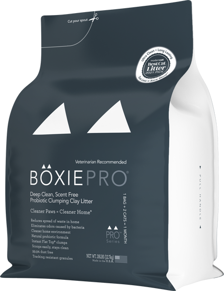 BoxiePro Litter Deep Clean (Black) - Pet in the City