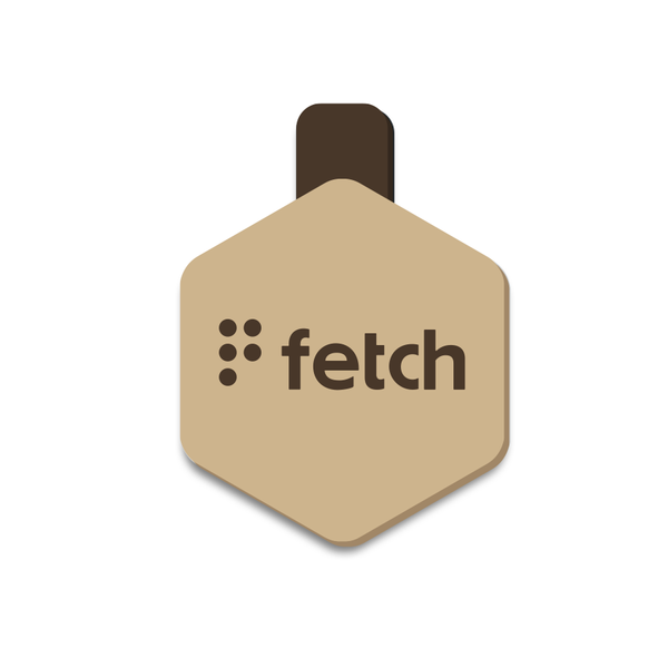 LifeKey Digital ID Tag - Pet in the City