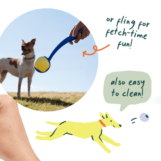 Woof Forager Flyball Yellow - Pet in the City