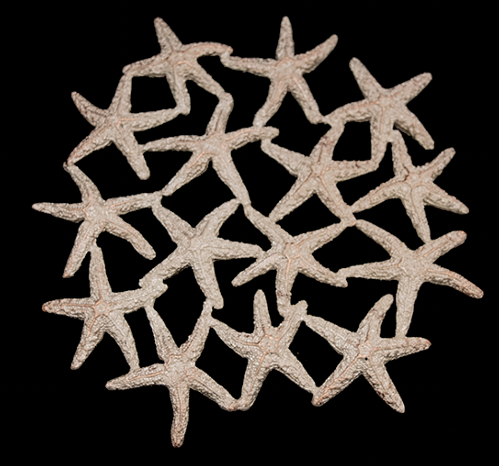 Pewter with Silver over Copper Starfish Trivet - The Kitchen Table