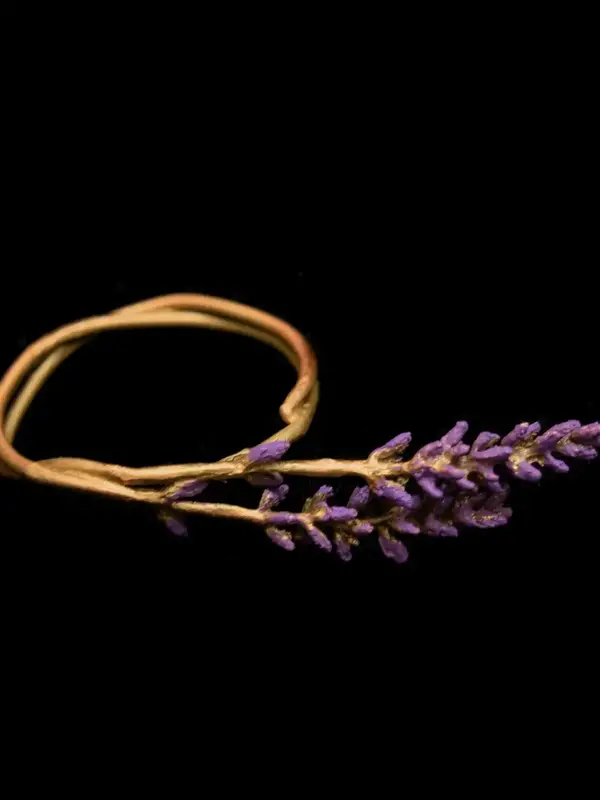 The Kitchen Table - The Kitchen Table