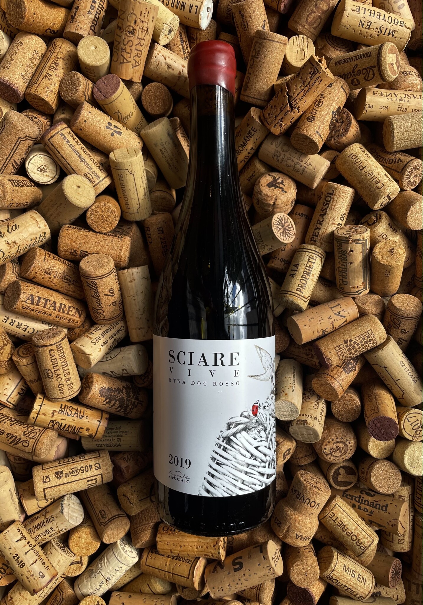 Vigneti Vecchio Etna Rosso "Sciare Vive" 2019 750ml - Hunters Point Wines