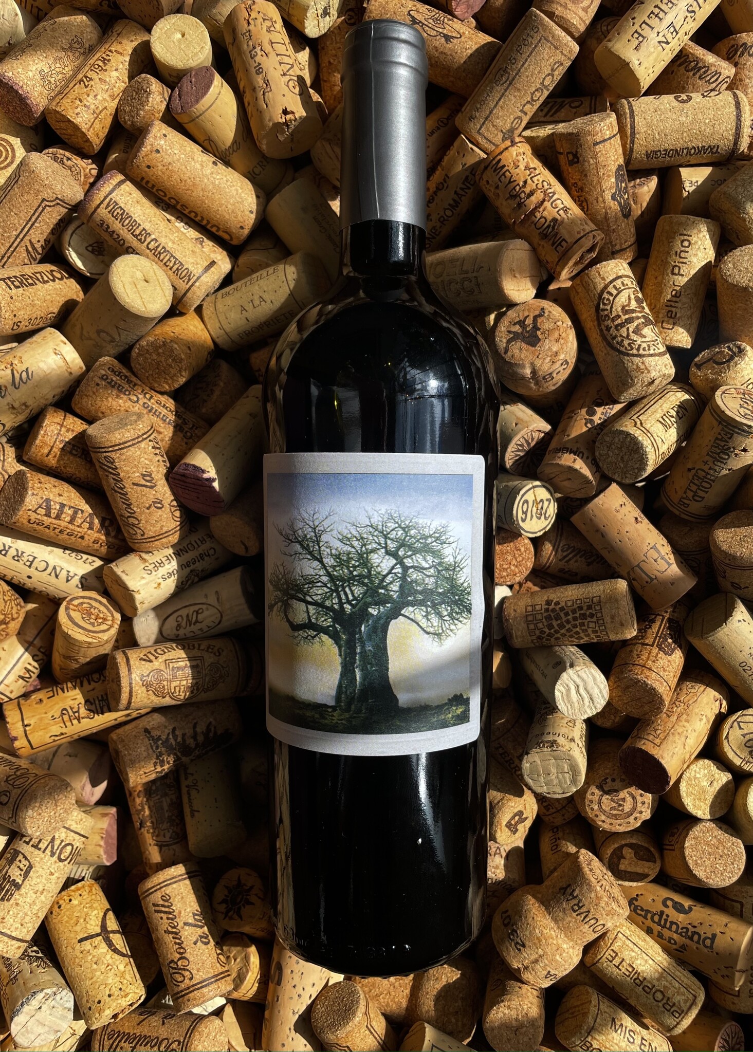 Raincatcher Red Blend Stellenbosch 2020 750ml - Hunters Point Wines