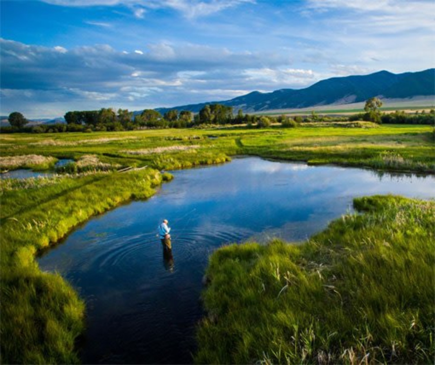 Winston Pure - Royal Treatment Fly Fishing