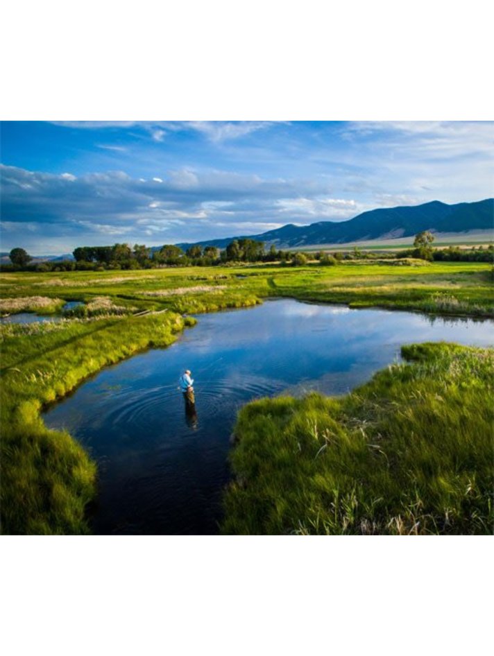 Winston Fly Rod Company - Royal Treatment Fly Fishing